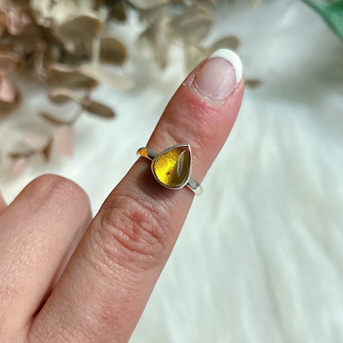 Discover the Fascinating World of Amber with Insect Inside ...